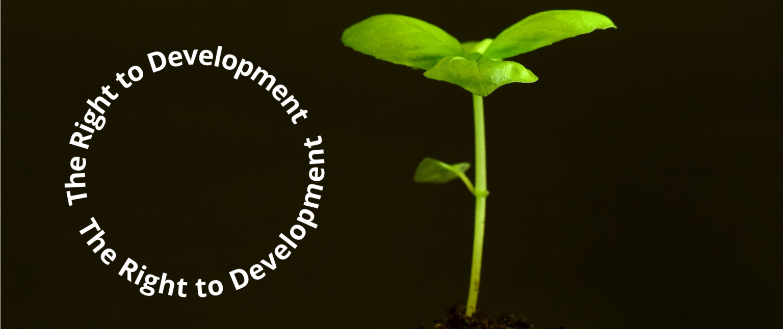 Commemoration of the 35th anniversary of the Declaration on the Right ...